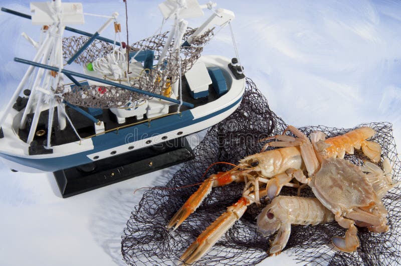 Mix of fresh fish stock image. Image of gill, mouth, bones - 25383077