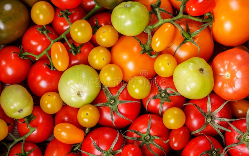 Mix of Fresh Tomatoes As Background, Top View Stock Image - Image of ...