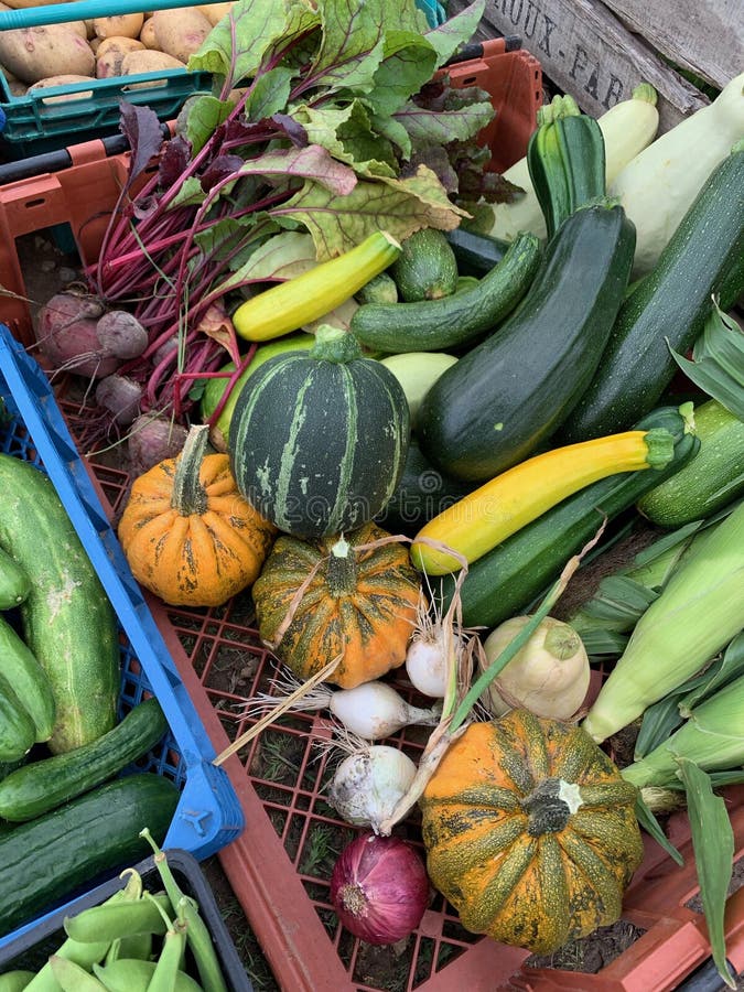 Fresh organic produce stock image. Image of amount, beetroot - 195602783