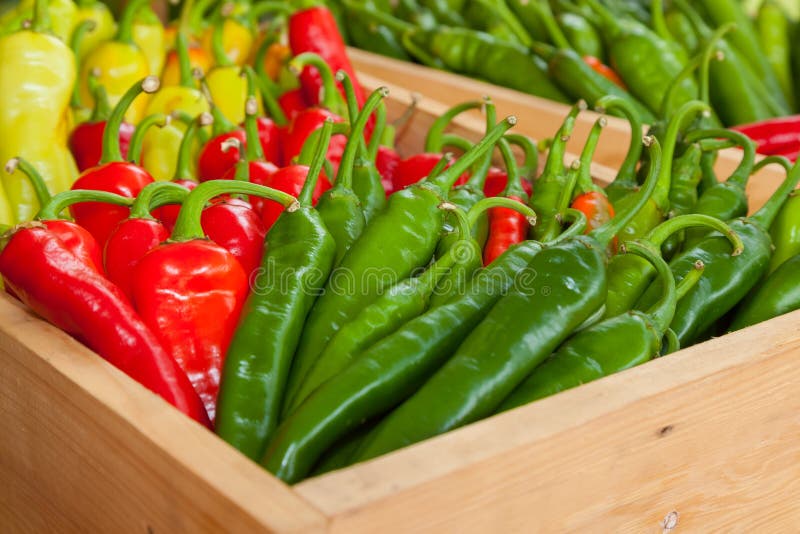 Mix green and red chili stock photo. Image of ripe, cayenne - 33031606