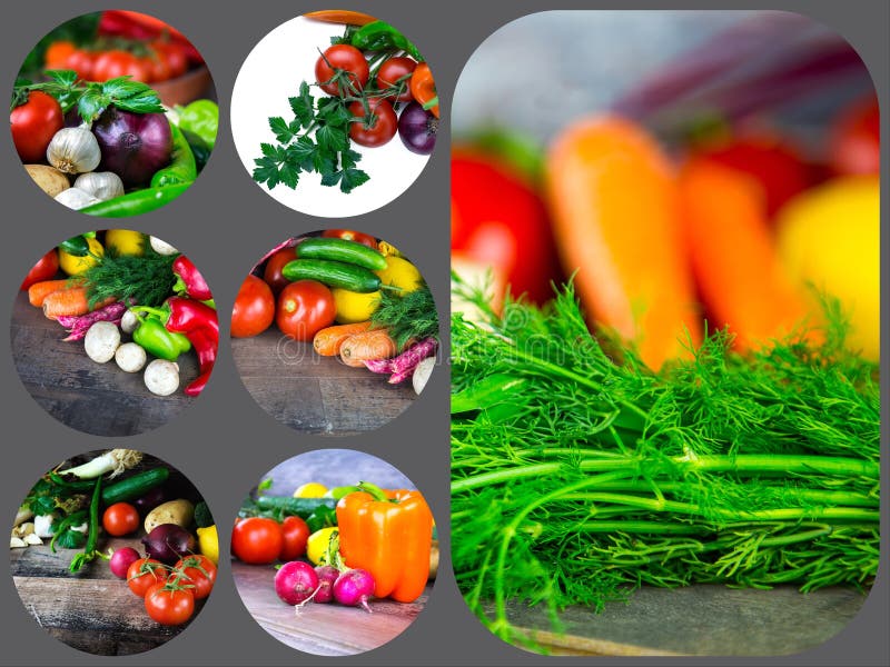 Mix of Healthy Organic Vegetable Collage Stock Image - Image of ...