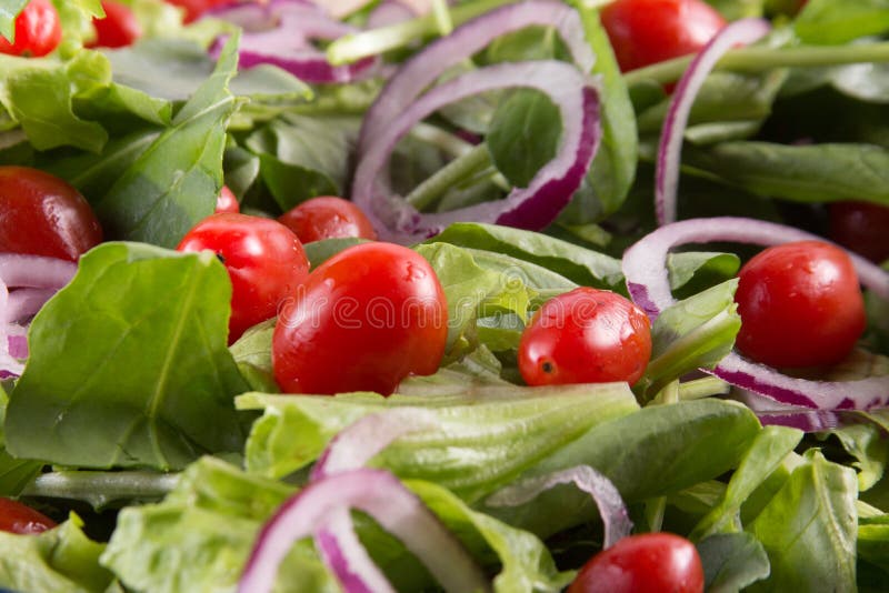 Mix Leaf Salad stock photo. Image of healthy, vegetable - 96111714