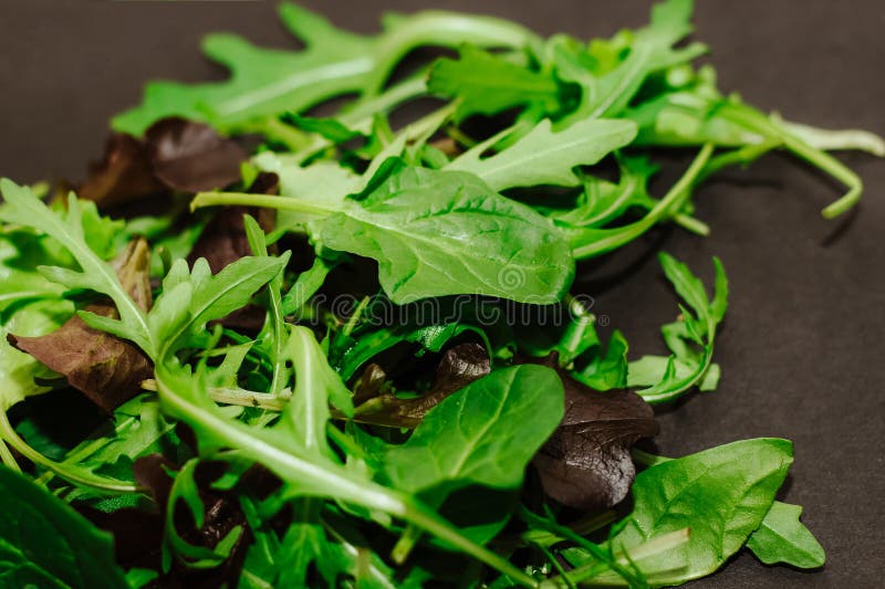Mix of Lettuce Leaves Different Types on Black Table. Stock Image ...