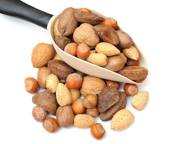 Mix of nut stock photo. Image of snack, almond, shell - 29511302