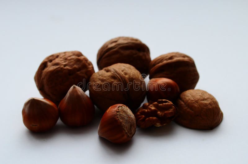 Few Walnuts and Hazelnuts on a White Background Stock Photo - Image of ...