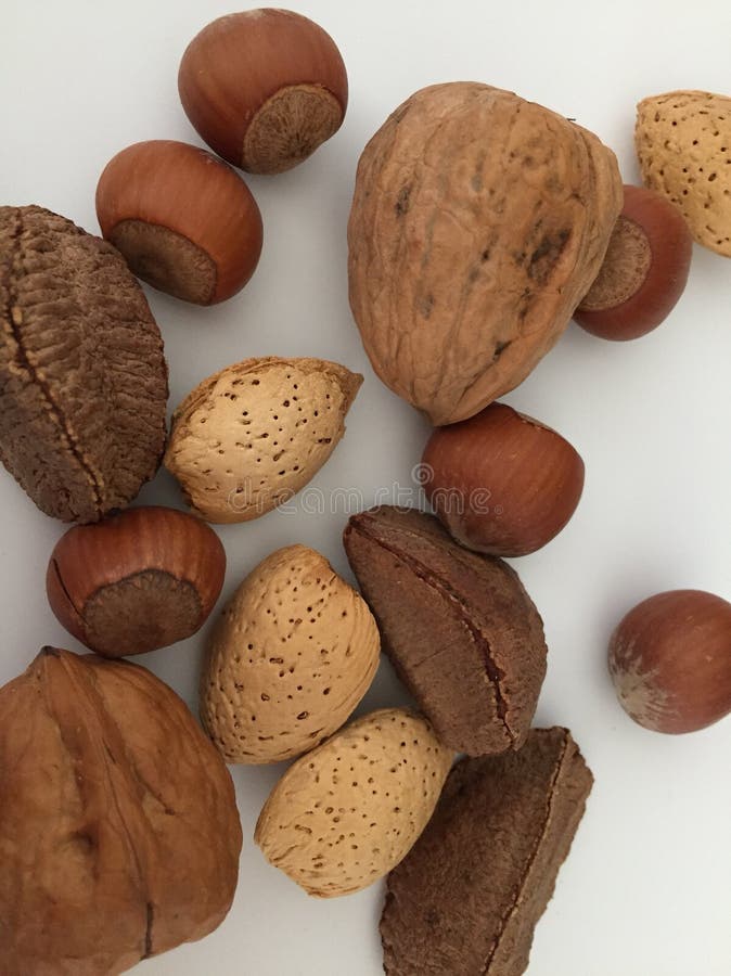 Mix Nuts stock photo. Image of inedible, seeds, edible - 117856180