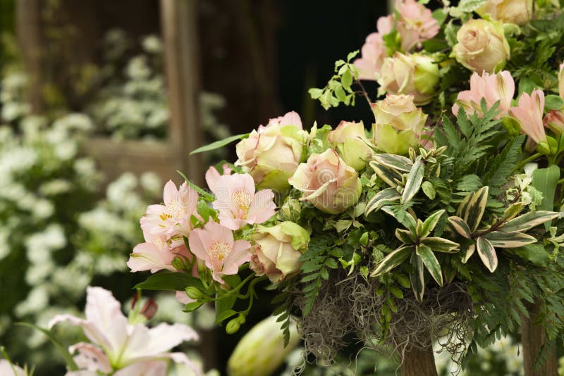 Mix pink rose stock photo. Image of birthday, love, romantic - 164604158