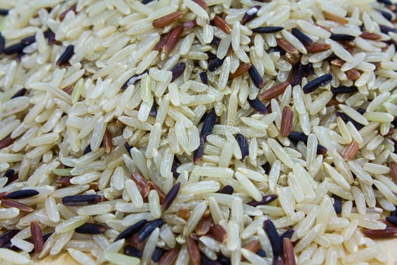 Mix Rice stock photo. Image of eating, organic, asian - 46499424