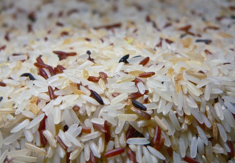 Mix rice stock image. Image of hungry, meal, delicious - 30547801