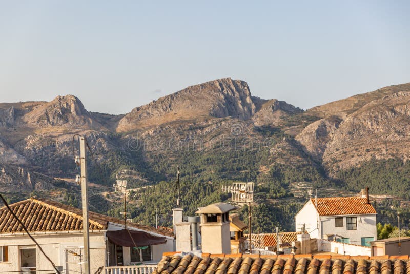 Mix of Rural, Natural and Housing Stock Photo - Image of orchard ...