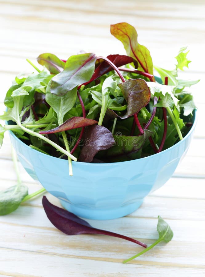 Mix Salad (arugula, Iceberg, Red Beet) Stock Photo - Image of gourmet ...