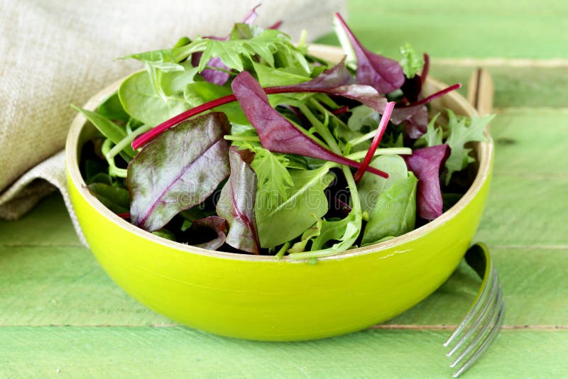Mix Salad (arugula, Iceberg, Red Beet) Stock Image - Image of pile ...