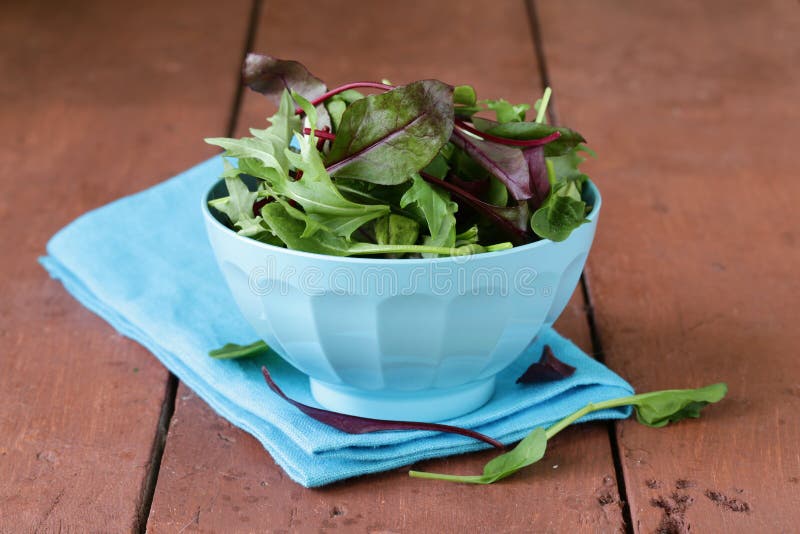 Mix Salad (arugula, Iceberg, Red Beet) Stock Photo - Image of gourmet ...