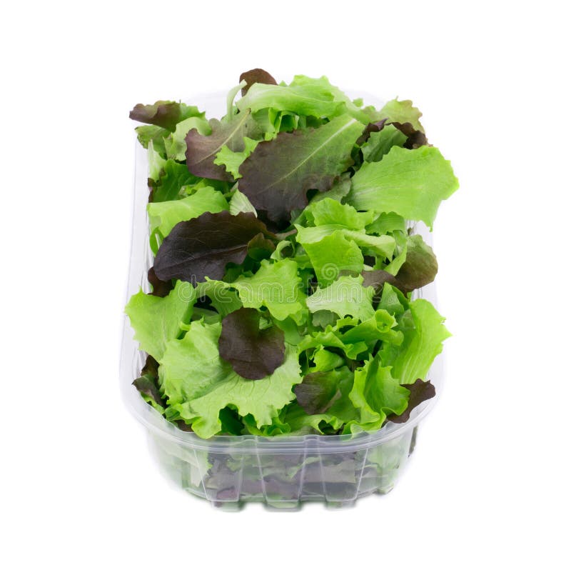 Mix salad in box. stock image. Image of health, leaf - 42818439