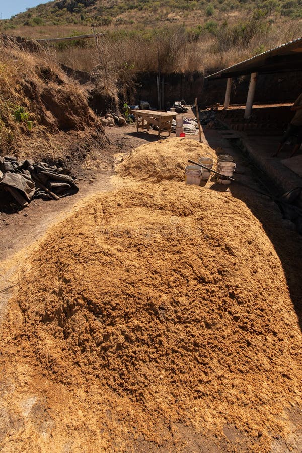 Mix of Sand, Mud, Water, Sawdust To Create a Paste for Making ...