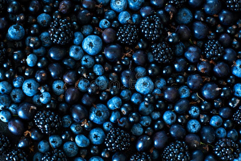 Mix Set Layout of Different Types of Black Berries on a Black Table ...