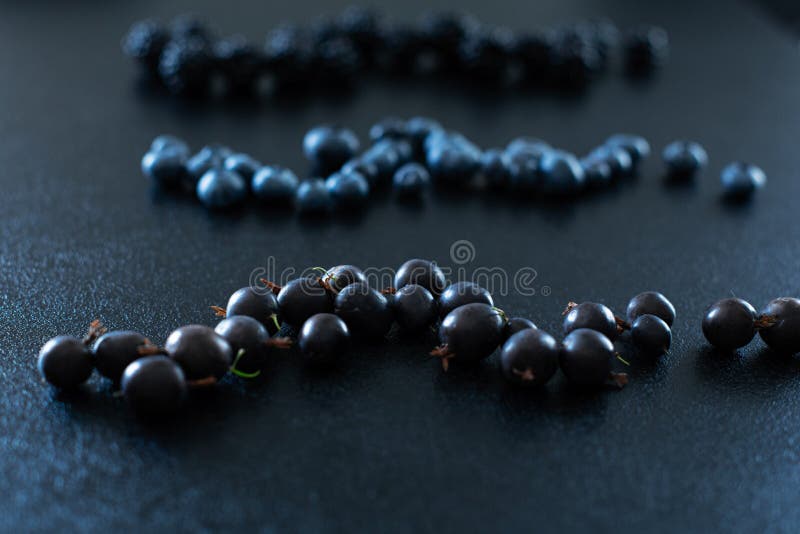 Mix Set Layout of Different Types of Black Berries on a Black Table ...