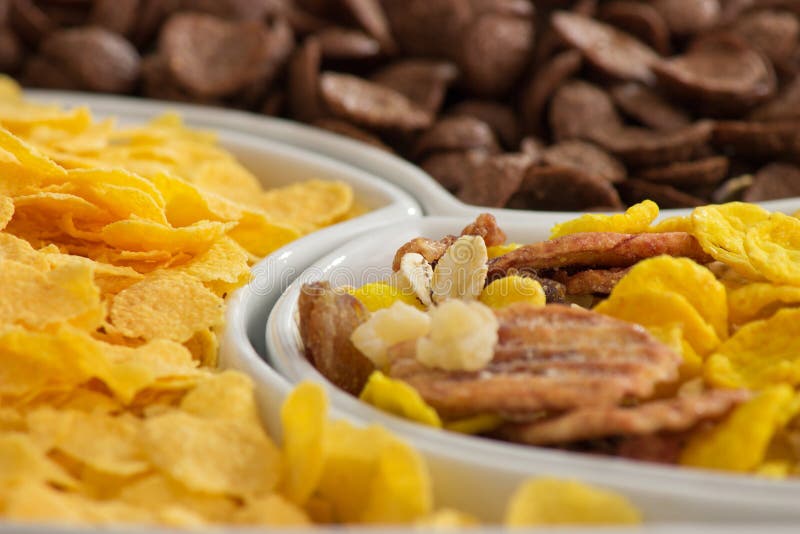 Close up cornflakes stock photo. Image of meal, close - 31135102