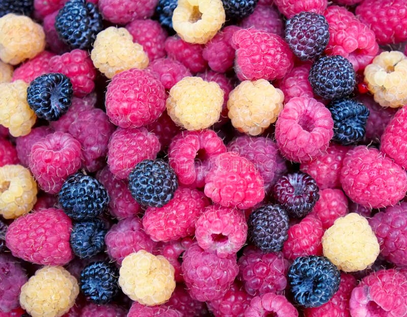 Mix Three Varieties of Raspberries Stock Photo - Image of blueberries ...