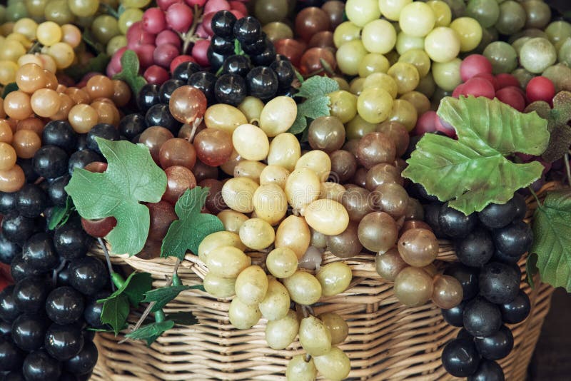 Mix of various grapes stock photo. Image of grape, agricultural - 58413058