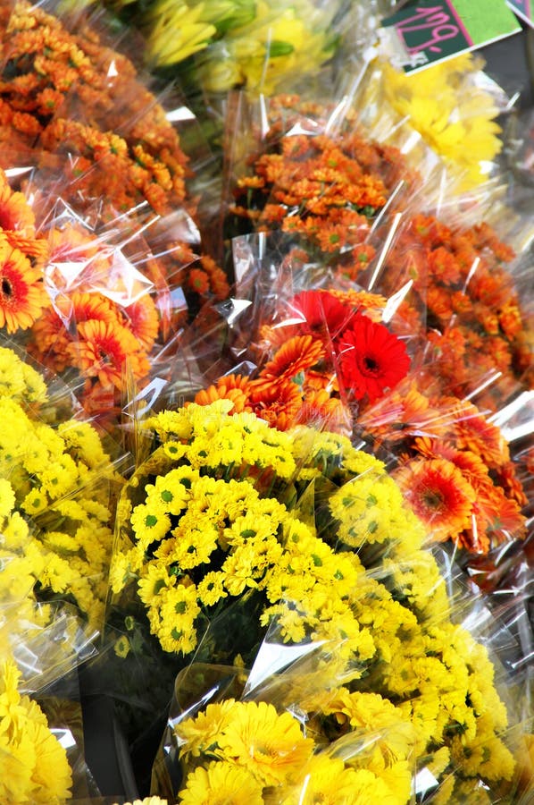 Mix of Vivid Fresh Beautiful Flowers Stock Image - Image of chamomile ...