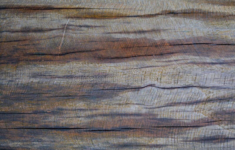 Mix of Wet and Dry Wood Texture Stock Photo - Image of backdrop, brown ...