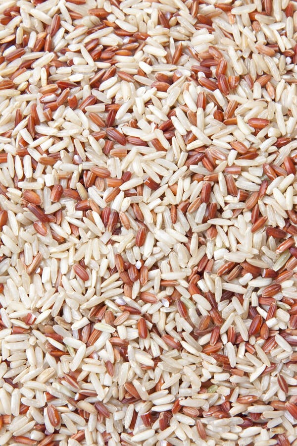 Mix white and brown rice stock photo. Image of leaves - 14515796