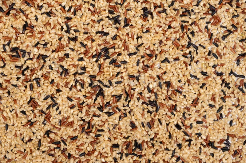 Mix of White, Red and Black Rice, Top View, Close Up Stock Image ...