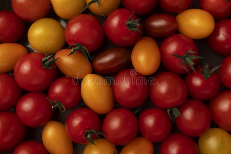 Mix of Yellow, Red and Black Cherry Tomatoes. Stock Photo - Image of ...