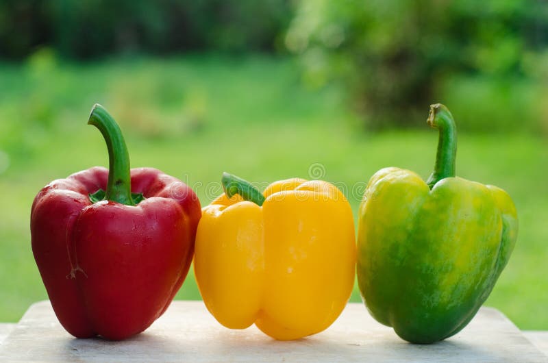 Mix Yellow Red and Green Bell Pepper on Wood Table Stock Photo - Image ...