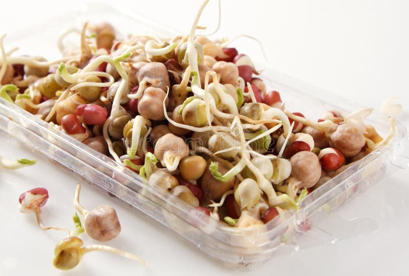 Green beans stock image. Image of studio, vegetable, simplicity - 246885