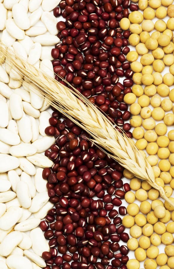 Mixed beans and wheat stock photo. Image of bean, legume - 34478810