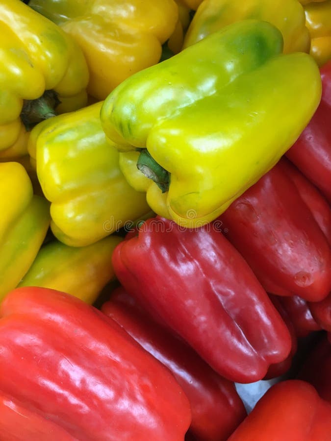 Mixed Colorful Bell Peppers Stock Photo - Image of colorful, bell ...