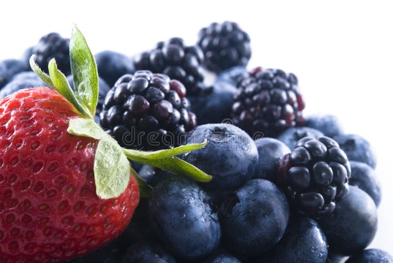 Mixed Berries Isolated on White Stock Photo - Image of fruit, food: 7919600