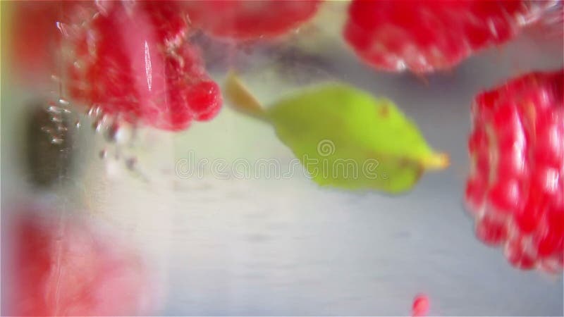 Mixed Berries Falling Down in Water Stock Footage - Video of ...