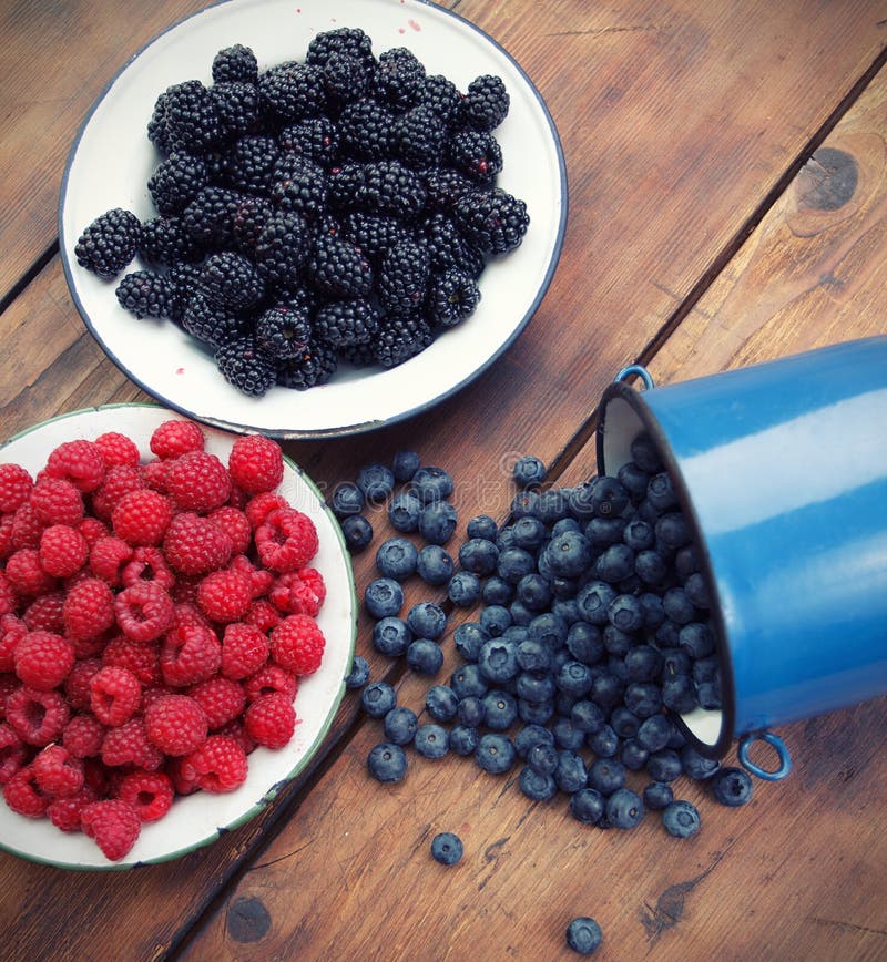 Mixed berry fruits stock photo. Image of circle, bunch - 34243826