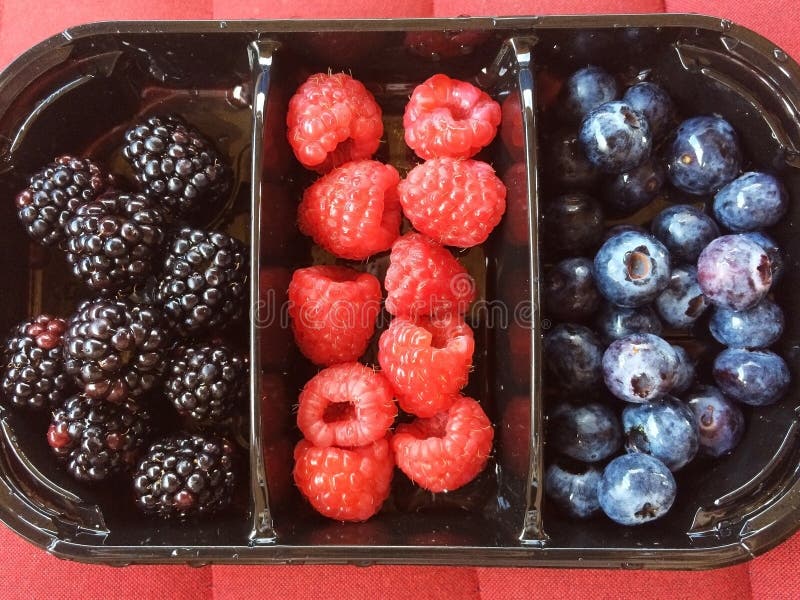 Mixed berry in small box stock photo. Image of dessert - 149336380