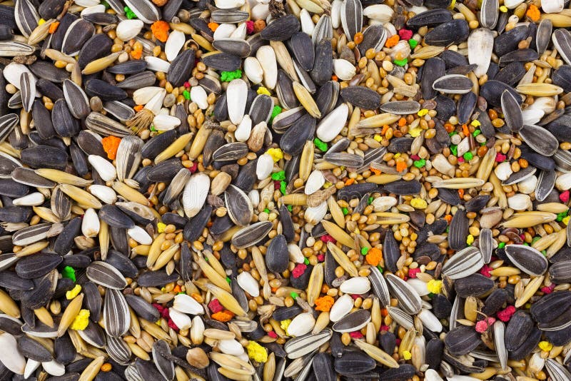 Mixed bird seed background stock image. Image of agriculture - 21269275