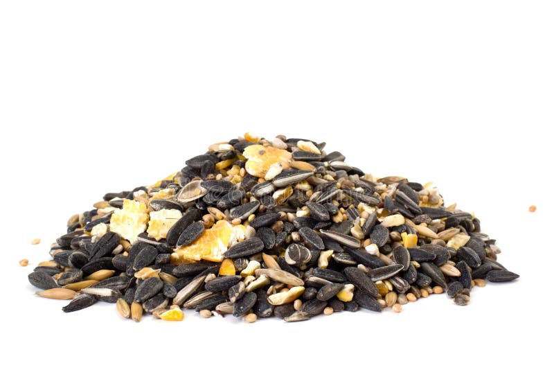 Mixed bird seeds stock image. Image of dried, healthy - 21726153