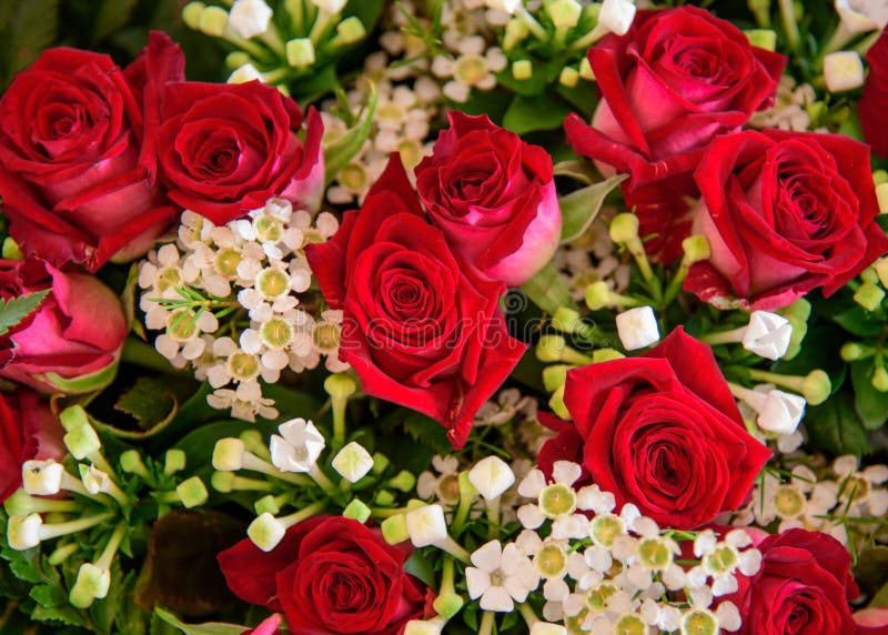 Mixed Boquet with Red Roses Stock Image - Image of rose, flower: 60263731