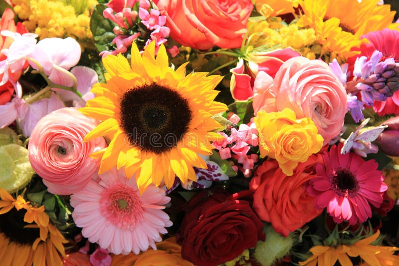 Mixed Bouquet in Bright Colors Stock Photo - Image of petals, flowers ...