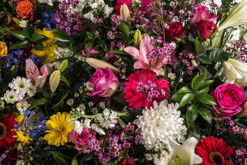 Mixed bunch of flowers stock image. Image of pebbles - 69993305