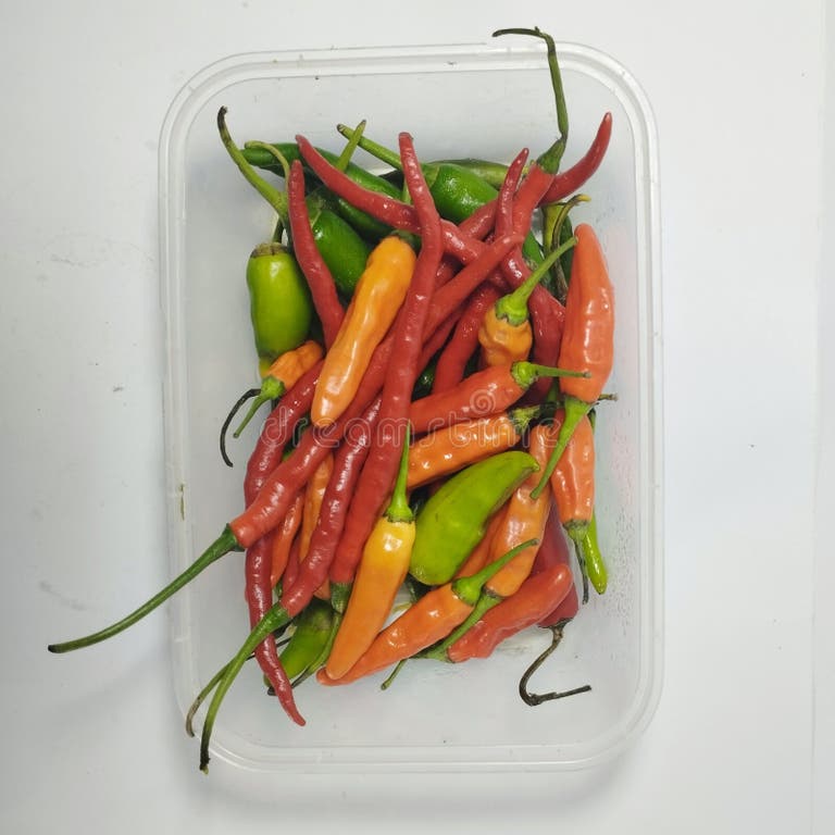 Mixed Chili Peppers in Plastic Container Stock Image - Image of fruit, orange: 376938641