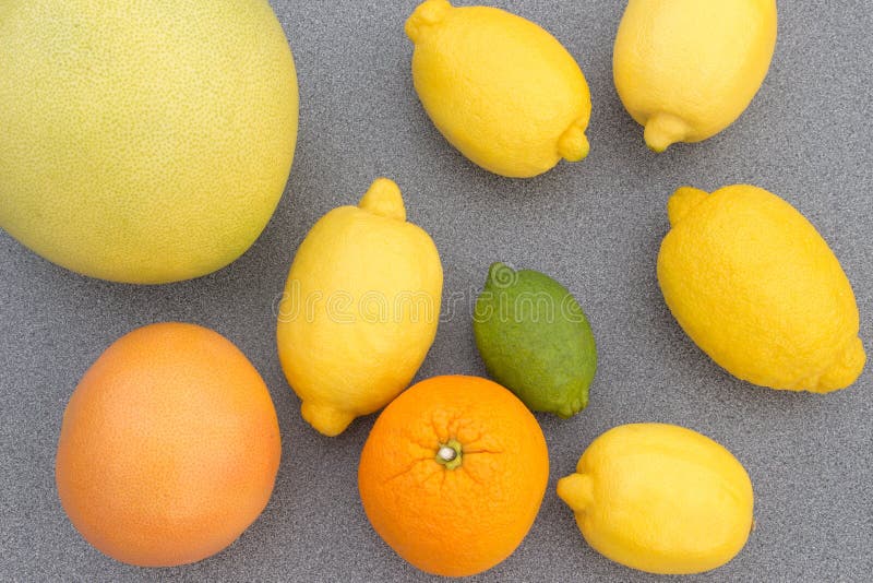 Mixed citrus fruit stock photo. Image of citrus, health - 103952214