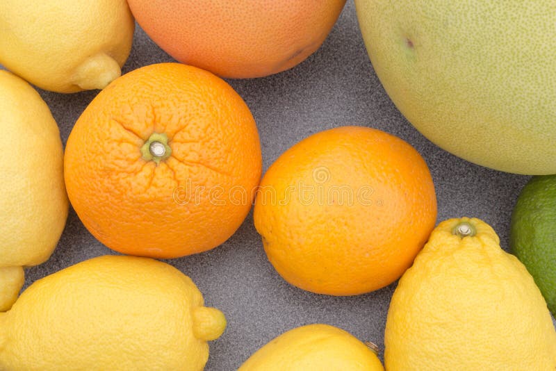 Mixed citrus fruit stock photo. Image of citrus, grapefruit - 103952486