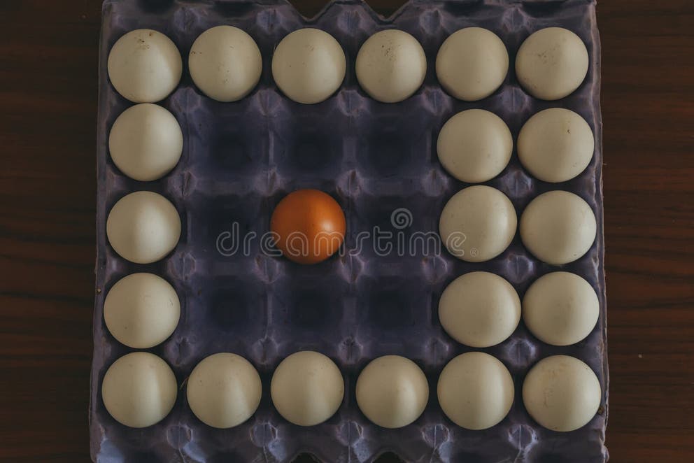 Mixed Color Egg Maple Racism Stock Photo - Image of decoration ...