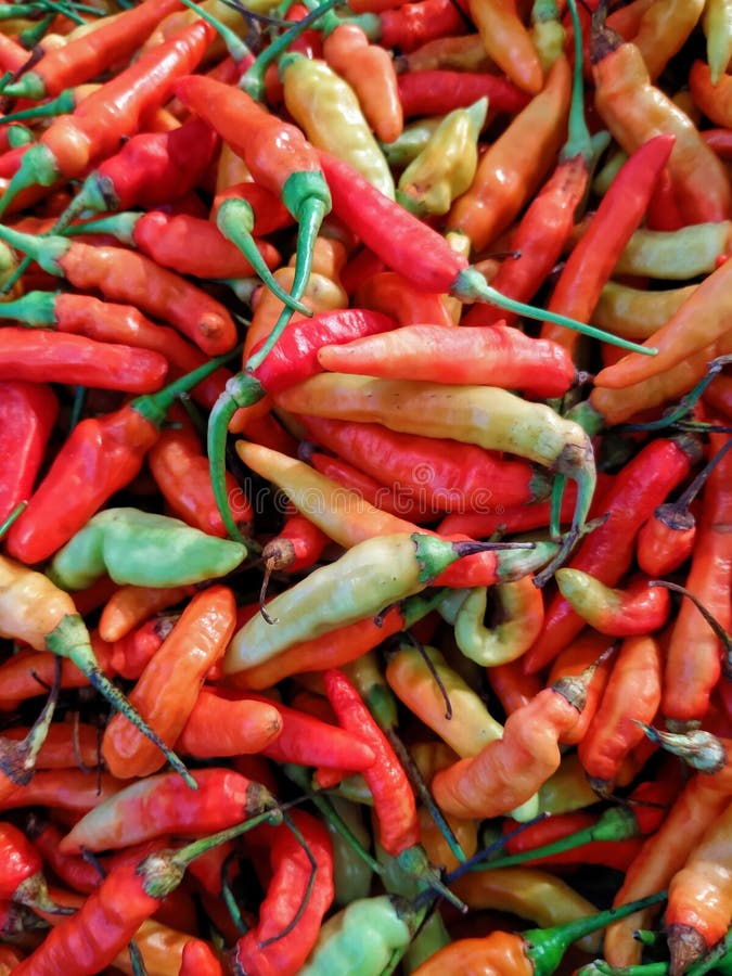 Mixed Color Fresh Cayenne Peppers Stock Photo - Image of vegetable ...
