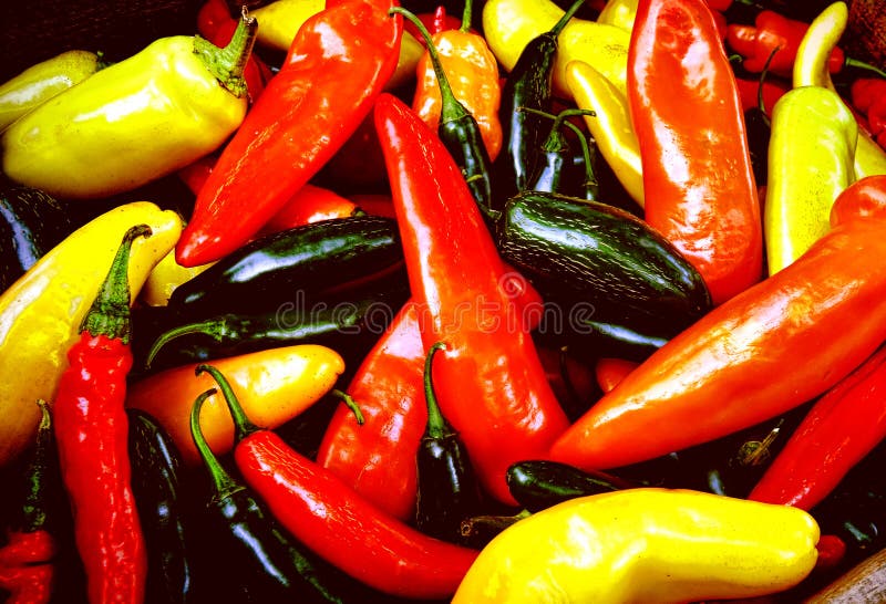 Organic Red Peppers stock photo. Image of commonly, including - 60831970
