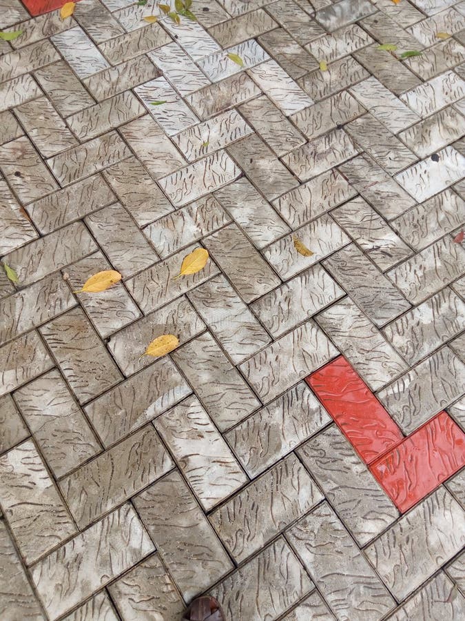 Mixed Colour Interlocking Pavement Block in a University Stock Image ...