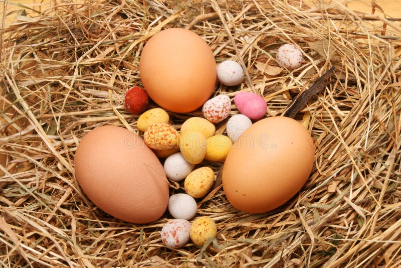 Mixed Eggs On Straw Picture. Image: 4316576